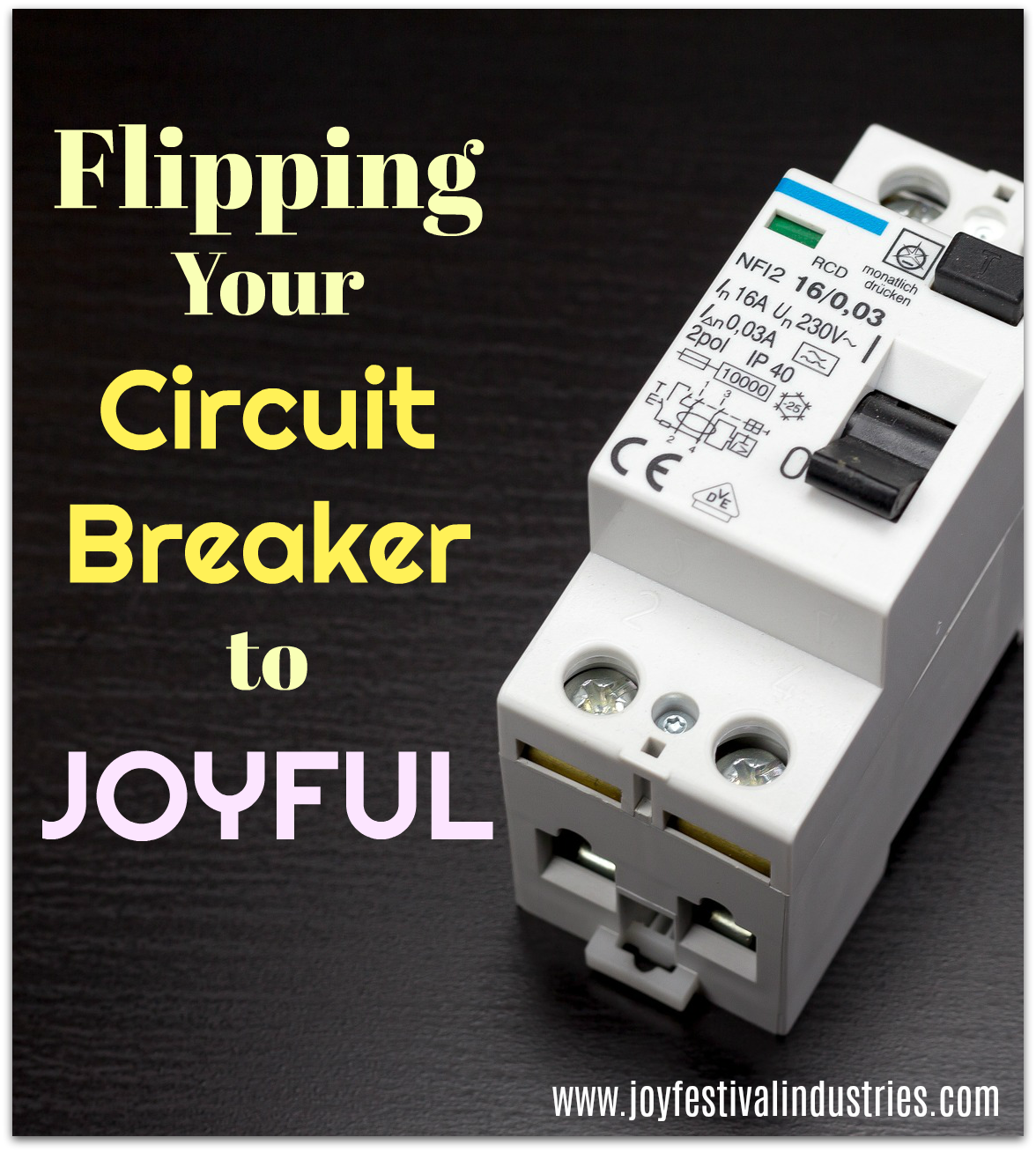 Flipping Your Circuit Breaker to JOYFUL - JOYFESTIVAL Industries